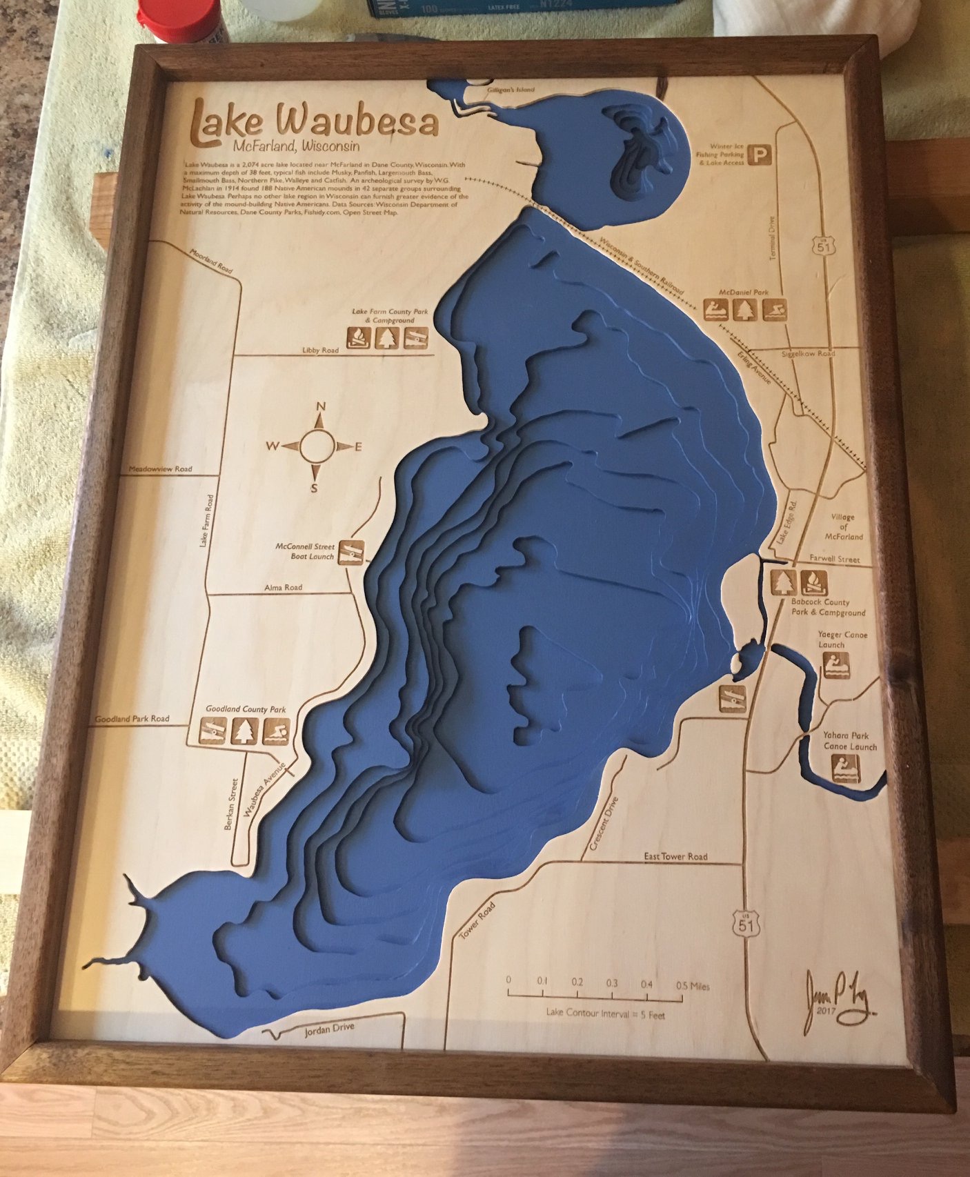 Laser Cut Land Cover Map of Wisconsin | Wiscmapper.net